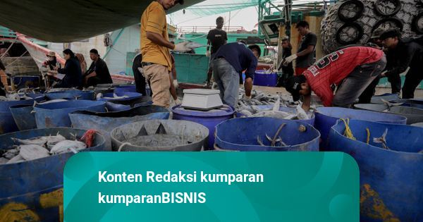 KKP Targetkan Produksi Perikanan di 2025 Capai 24,58 Juta Ton | kumparan.com